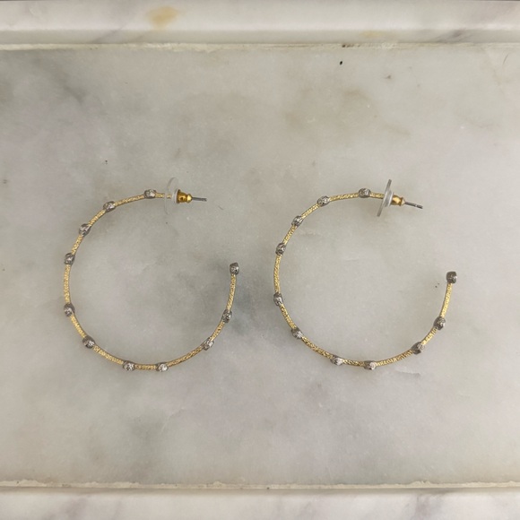 Alexis Bittar | Jewelry | Alexis Bittar Studded Hoop | Poshmark